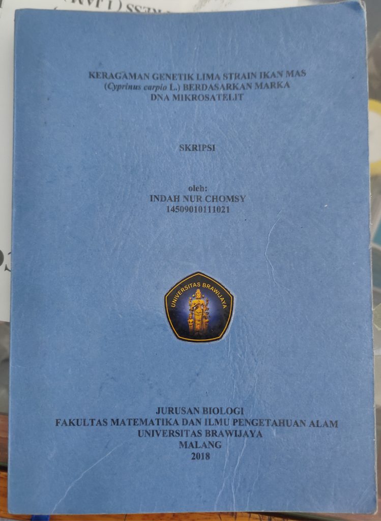 Jilid Skripsi Malang – ASAHI Copy Center – Solusi Dokumen Anda